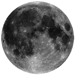 Transparent GIF Sticker - Find & Share on GIPHY