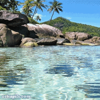 Deserted Island GIFs - Find & Share on GIPHY