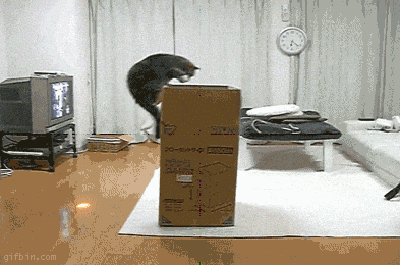 Boxes GIF - Find & Share on GIPHY