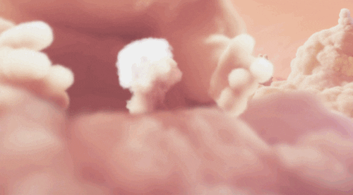 Partly Cloudy Pixar Gif GIF by Disney Pixar - Find & Share on GIPHY