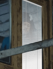 Outside GIF - Find & Share on GIPHY