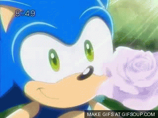 Sonic Winking
