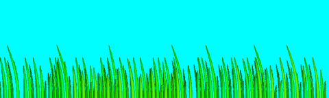 Grass GIF - Find & Share on GIPHY