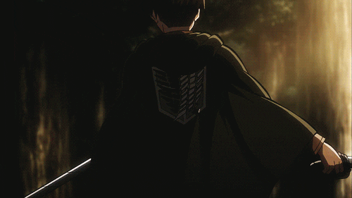 Levi GIF - Find & Share on GIPHY