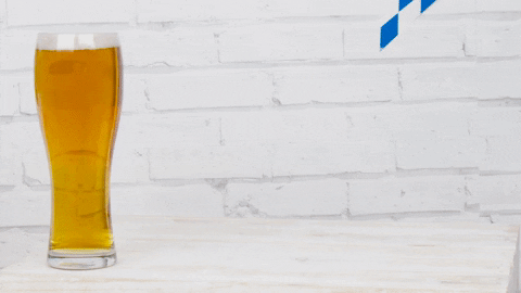 Oktoberfest Beers GIF by evite - Find & Share on GIPHY