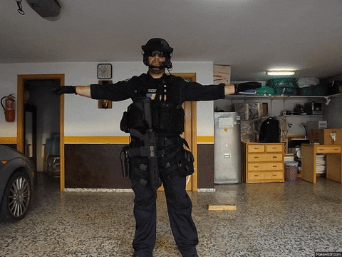 Swat GIF - Find & Share on GIPHY