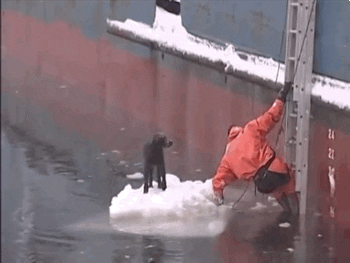 Rescue GIF - Find & Share on GIPHY