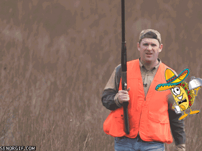Winning Meme Gif