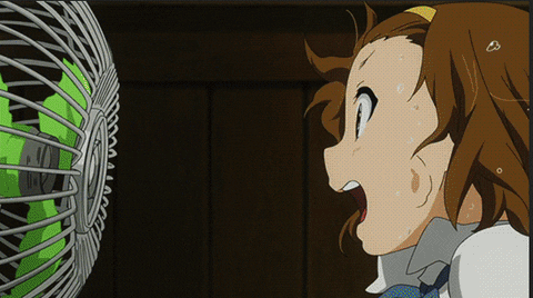 Fan GIF - Find & Share on GIPHY