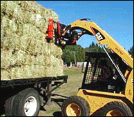 Hay GIF - Find & Share on GIPHY