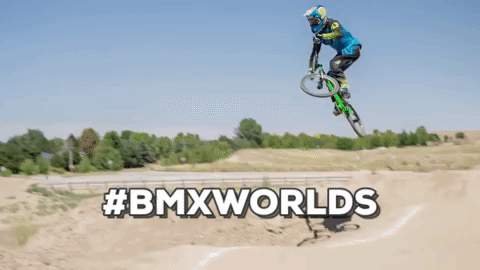 - Find & Share on GIPHY