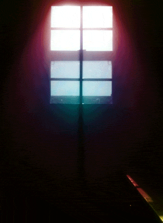Back From The Dead Window GIF by weinventyou - Find & Share on GIPHY