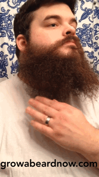 Beard GIF - Find & Share on GIPHY