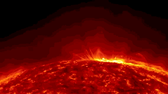 Sun Surface GIF - Find & Share on GIPHY