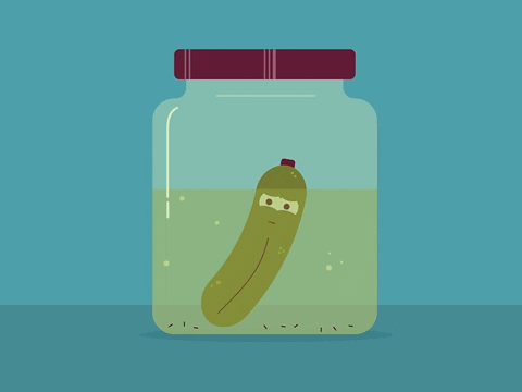 Pickle GIF - Find & Share on GIPHY