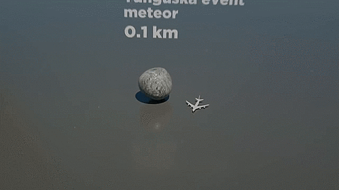 Size GIFs - Find & Share on GIPHY