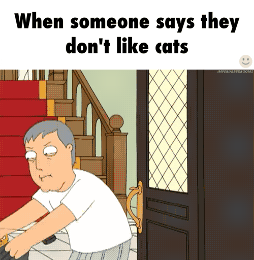 Nooooo GIF - Find & Share on GIPHY