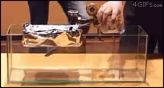 Density GIF - Find & Share on GIPHY