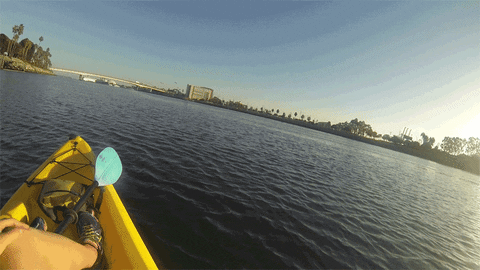 Drought GIF - Find & Share on GIPHY