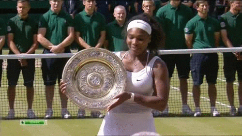 Serena Williams Tennis GIF - Find & Share on GIPHY