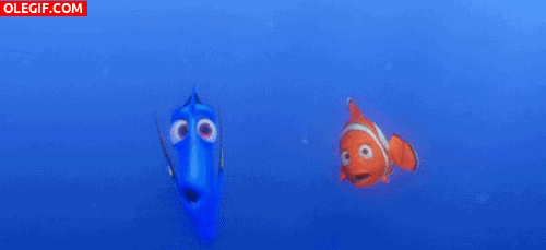 Dori GIFs - Get the best GIF on GIPHY