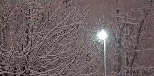 Snow GIF - Find & Share on GIPHY
