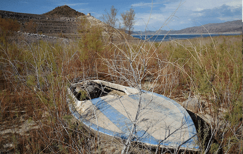 Drought GIF - Find & Share on GIPHY