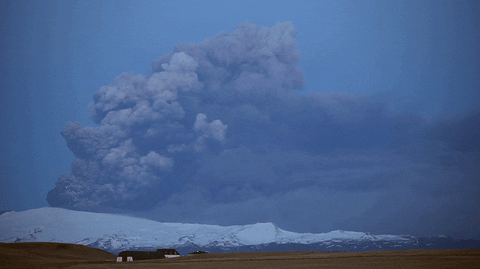 Disaster GIFs - Find & Share on GIPHY