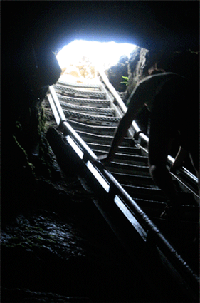 Cave GIF - Find & Share on GIPHY