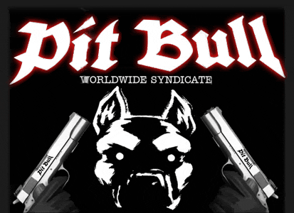 Pitbull GIF - Find & Share on GIPHY