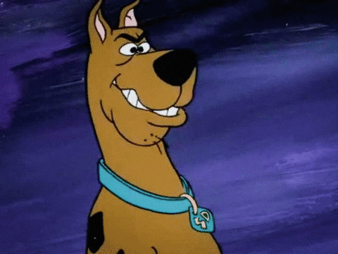 Scooby Doo GIF - Find & Share on GIPHY