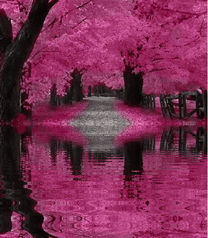 Trees GIF - Find & Share on GIPHY