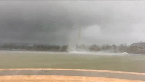 Image Cyclone GIF by BFMTV - Find & Share on GIPHY