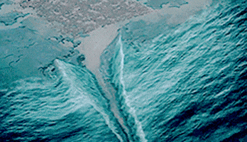 Red Sea GIFs - Find & Share on GIPHY
