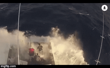 Attack Tuna GIF - Find & Share on GIPHY