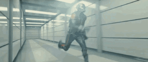 Revealed GIFs - Get the best GIF on GIPHY