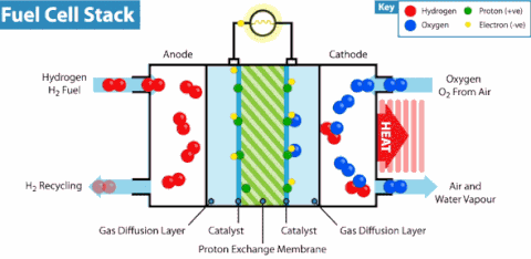 Cell GIF - Find & Share on GIPHY