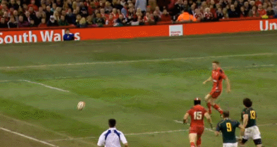 Rugby GIF - Find & Share on GIPHY