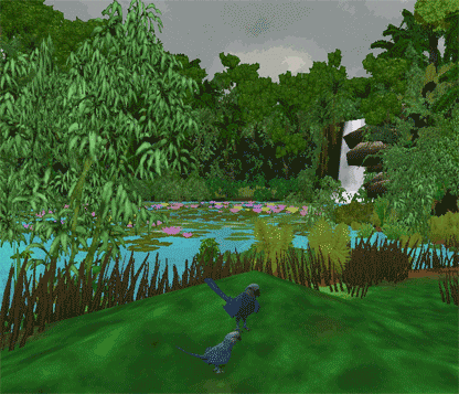 Jungle Parrots GIF - Find & Share on GIPHY