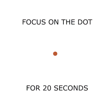 Focus GIF - Find & Share on GIPHY