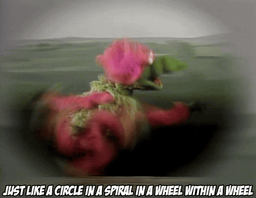 The Muppets Running GIF - Find & Share on GIPHY