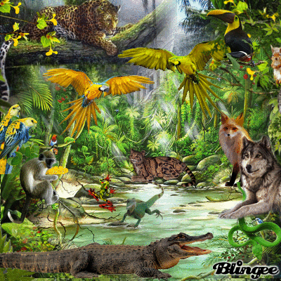 Jungle GIFs - Find & Share on GIPHY