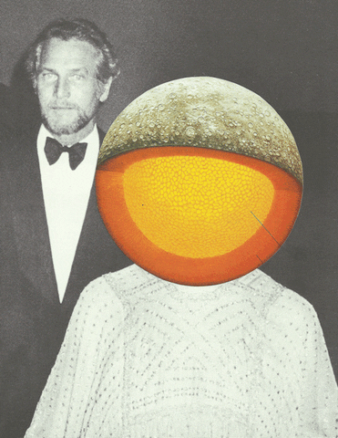 Collage GIF - Find & Share on GIPHY