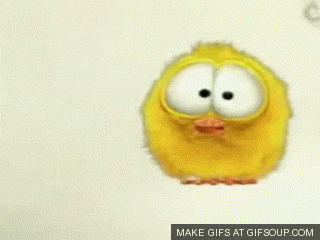 Chick GIFs - Find & Share on GIPHY