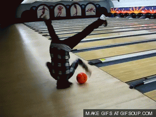 Bowling GIF - Find & Share on GIPHY