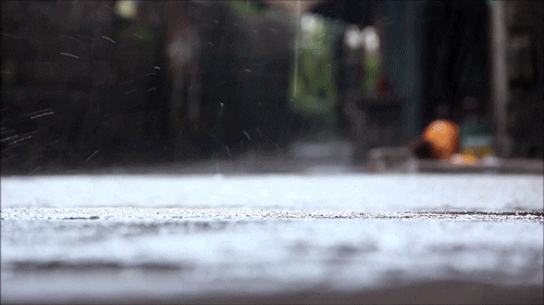 Philippines Monsoon GIF - Find & Share on GIPHY