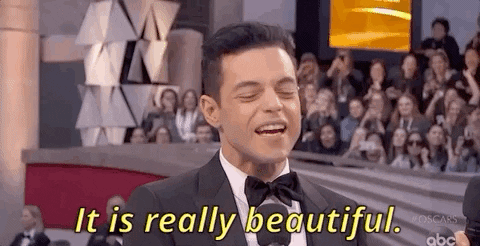 It Is Really Beautiful Red Carpet GIF by The Academy Awards - Find ...