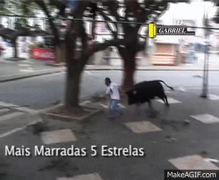 Bullfighting GIFs - Find & Share on GIPHY