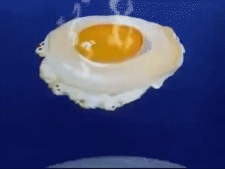 Fried Egg GIF - Find & Share on GIPHY