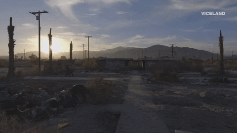 GIF by ABANDONED - Find & Share on GIPHY